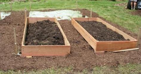 Redirecting to https://extension.umd.edu/resource/soil-fill-raised-beds